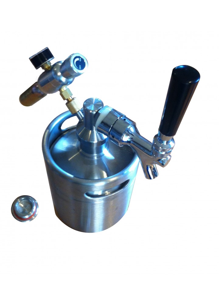 2L SS Growler Draft Beer Setup